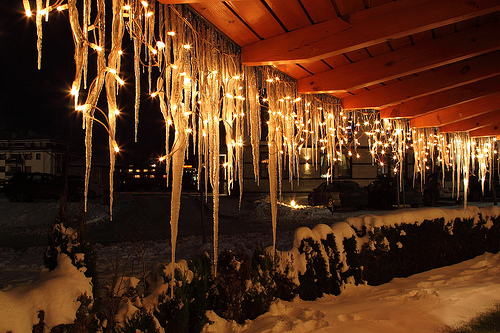 Home | The Simple Good