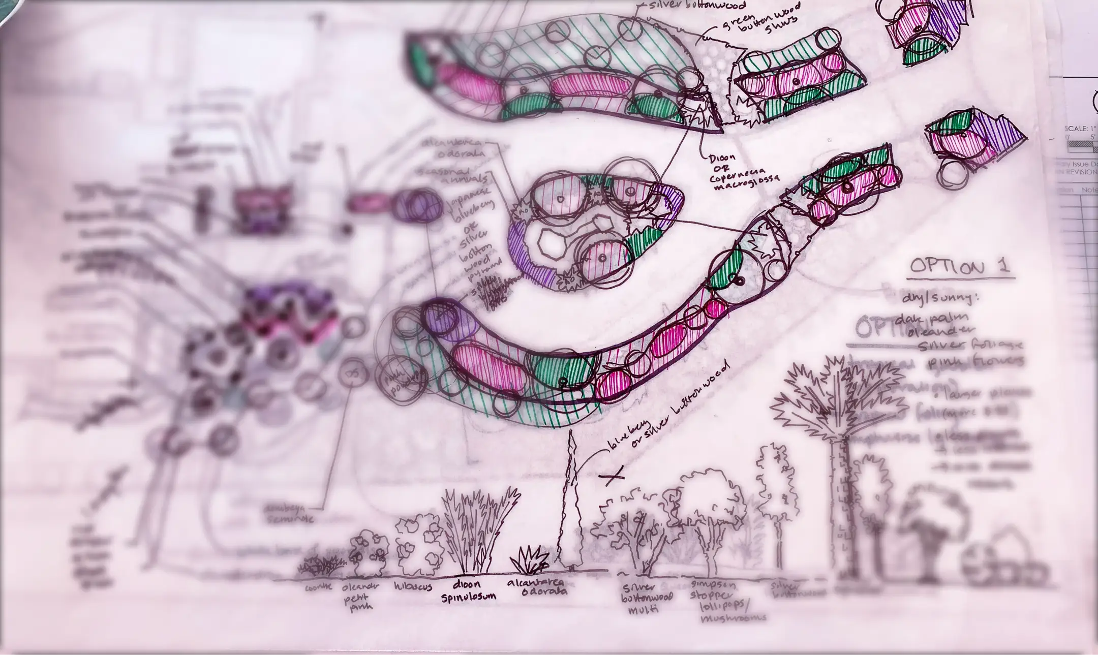Concept Design | Coastal Vista Design