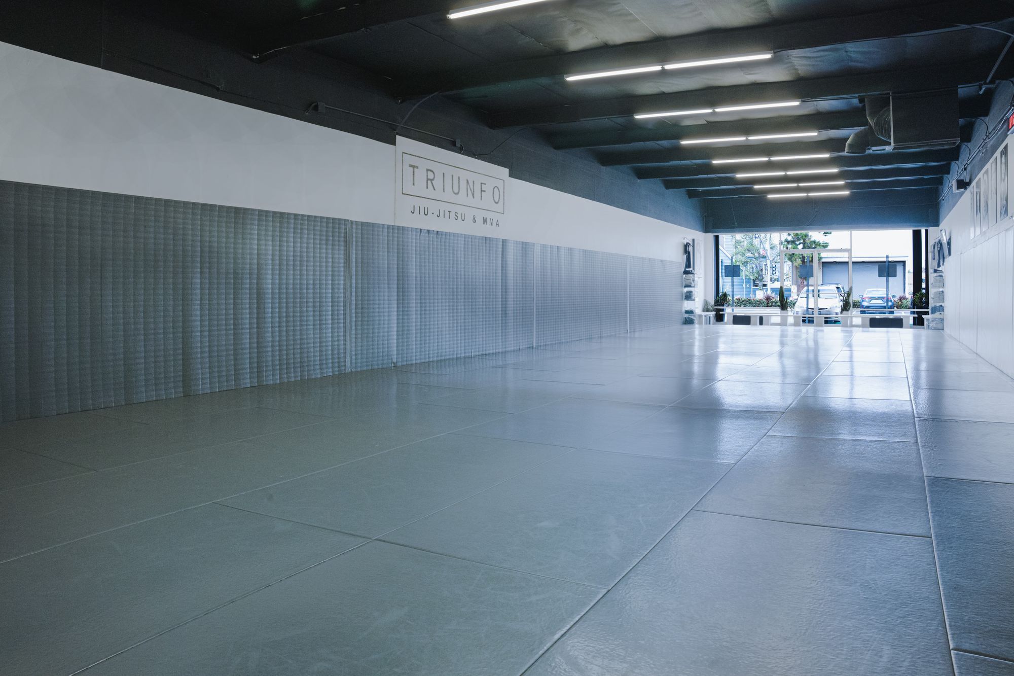 Triunfo Jiu-Jitsu & MMA