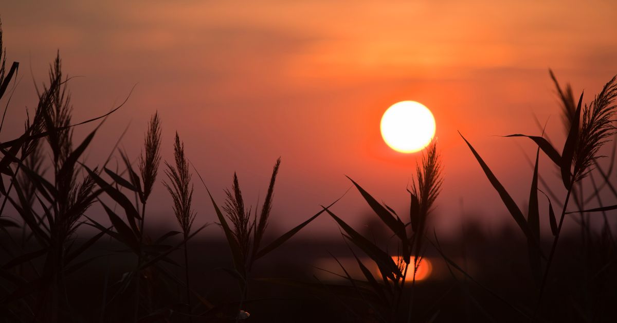 Understanding the Effects of Sundown Syndrome in Dementia Patients ...