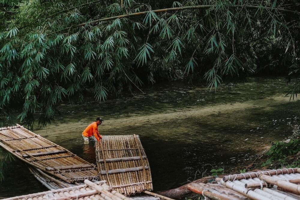 Major Leaders In The Bamboo Industry | The Momentum