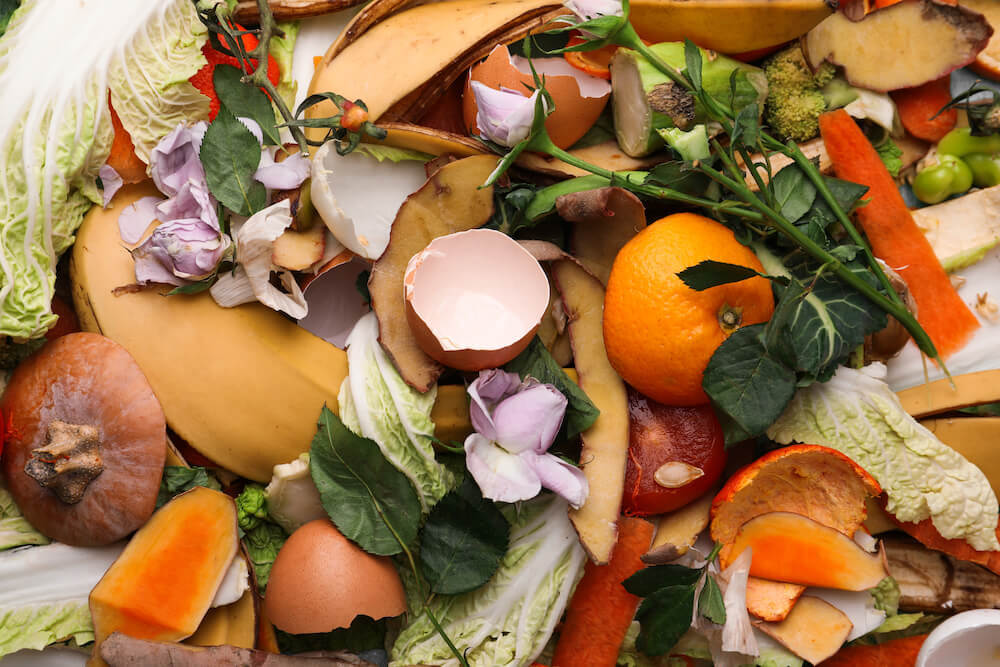 Repurposing Food Waste For More Sustainable Living | The Momentum