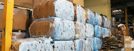 TerraCycle's Zero Waste Recycling Program | The Momentum