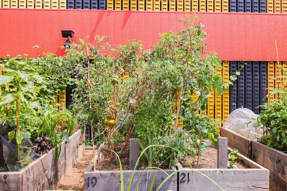 Ron Finley: The Guerrilla Gardener | The Momentum