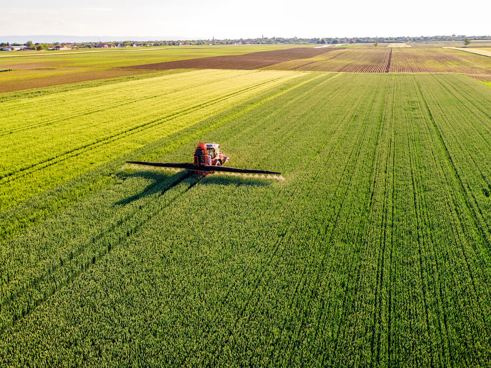 Scientific Masterpiece Or Calamity? The Impact Of GMOs On The ...