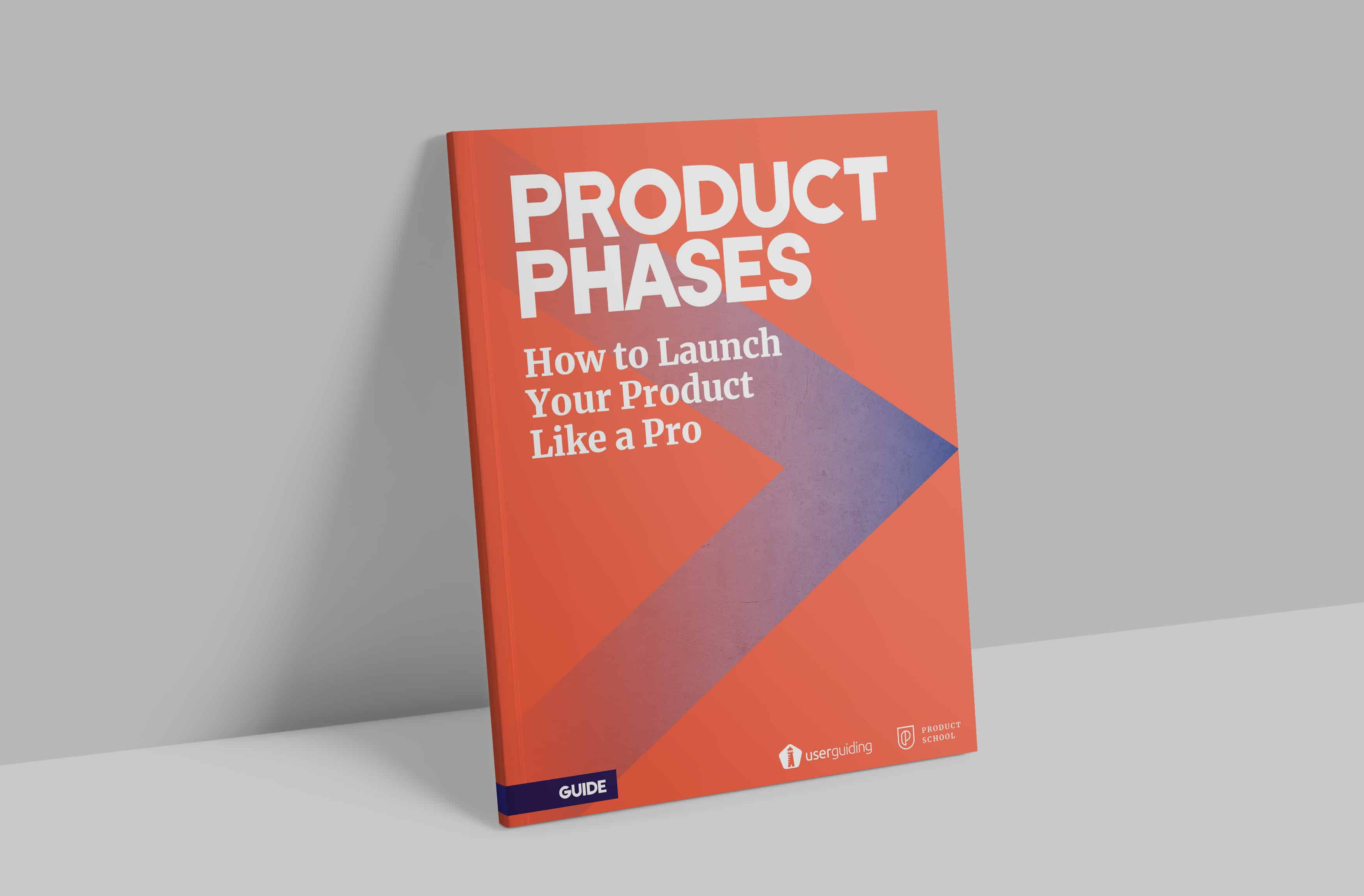 Launch your Product like a PRO! (E-book)
