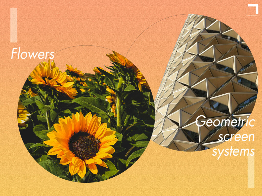 Biomimicry - Definition, Features and Examples