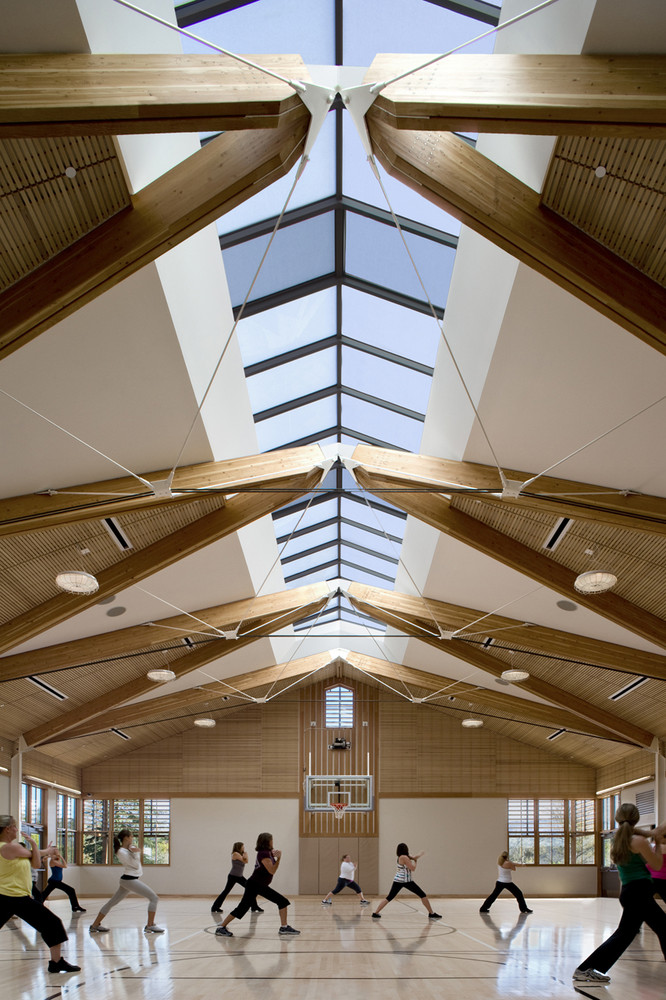 6 Types of Skylights in Architecture with Examples