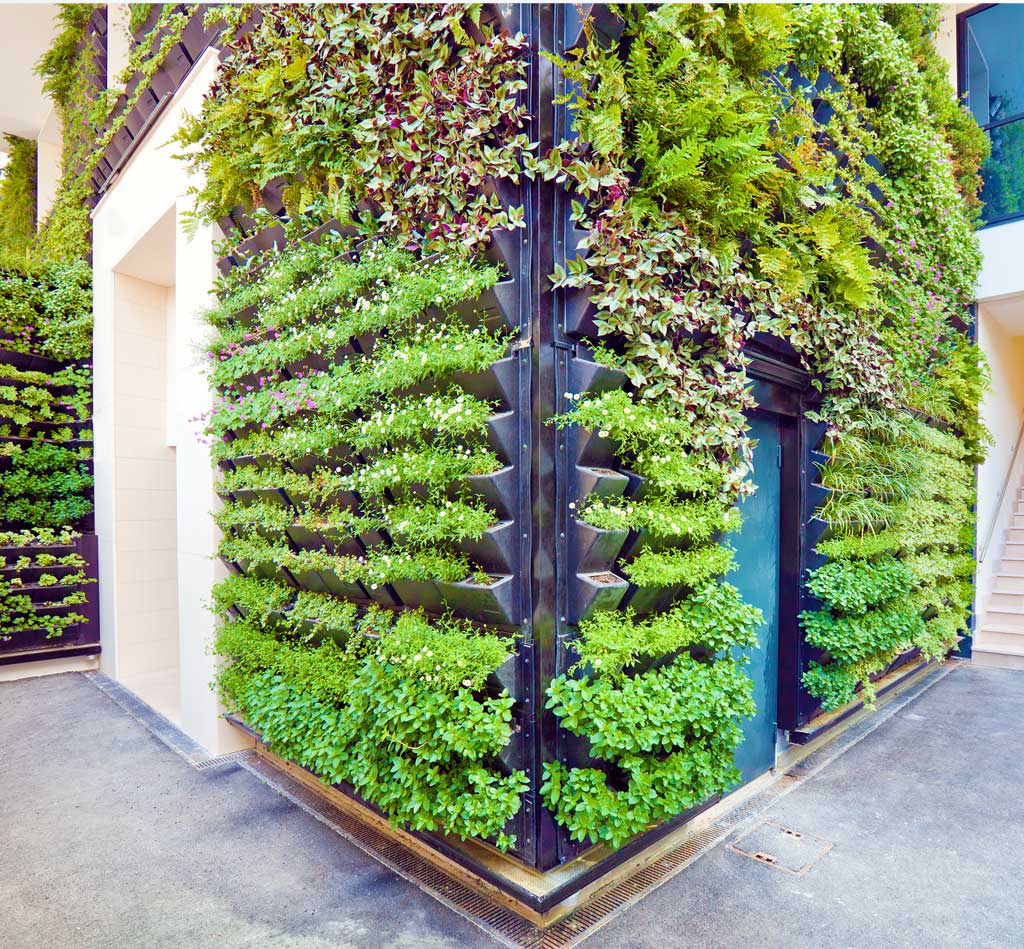 4 Types of Planter Boxes and Their Application in Buildings