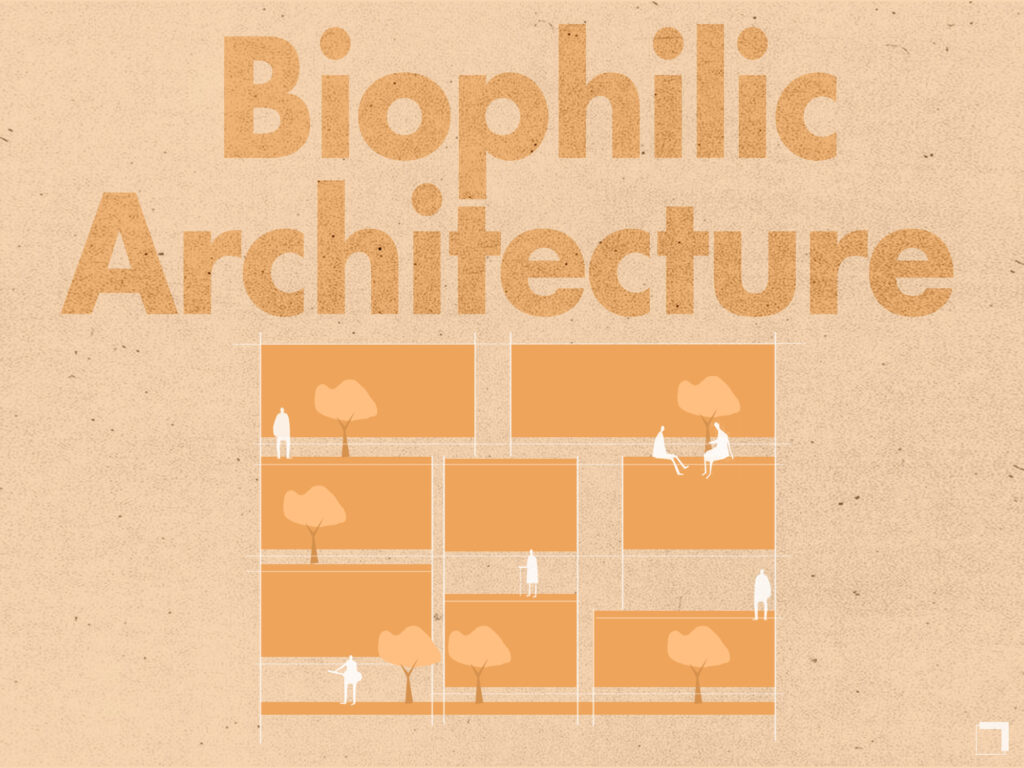 Biophilic Architecture Principles and Examples
