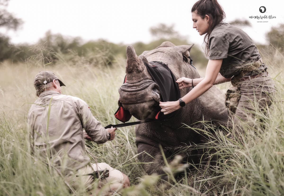 Community & Conservation Photography | Into My Wild Africa