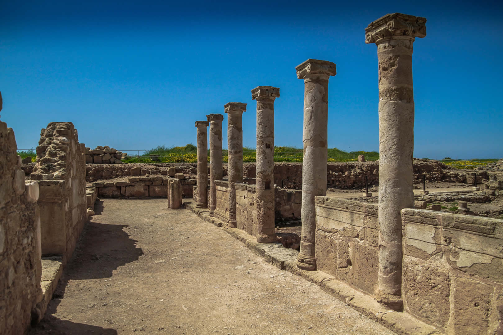 The Pafos Mosaics - The Palmiers
