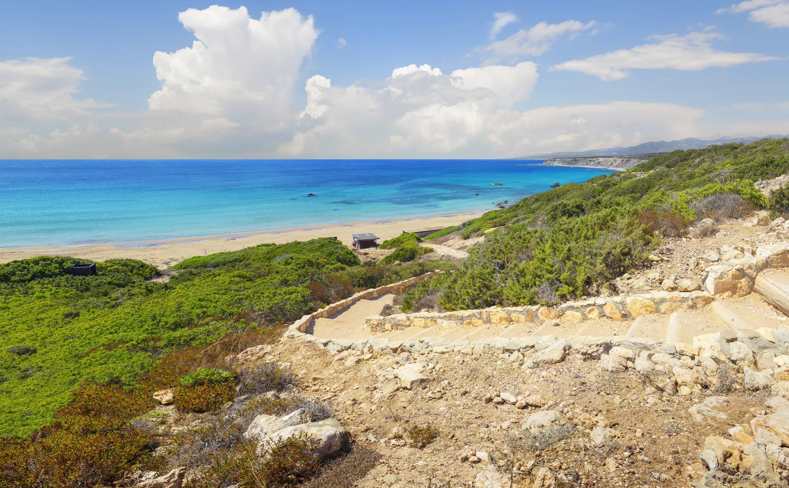 Paphos National Park - Akamas Peninsula - The Palmiers