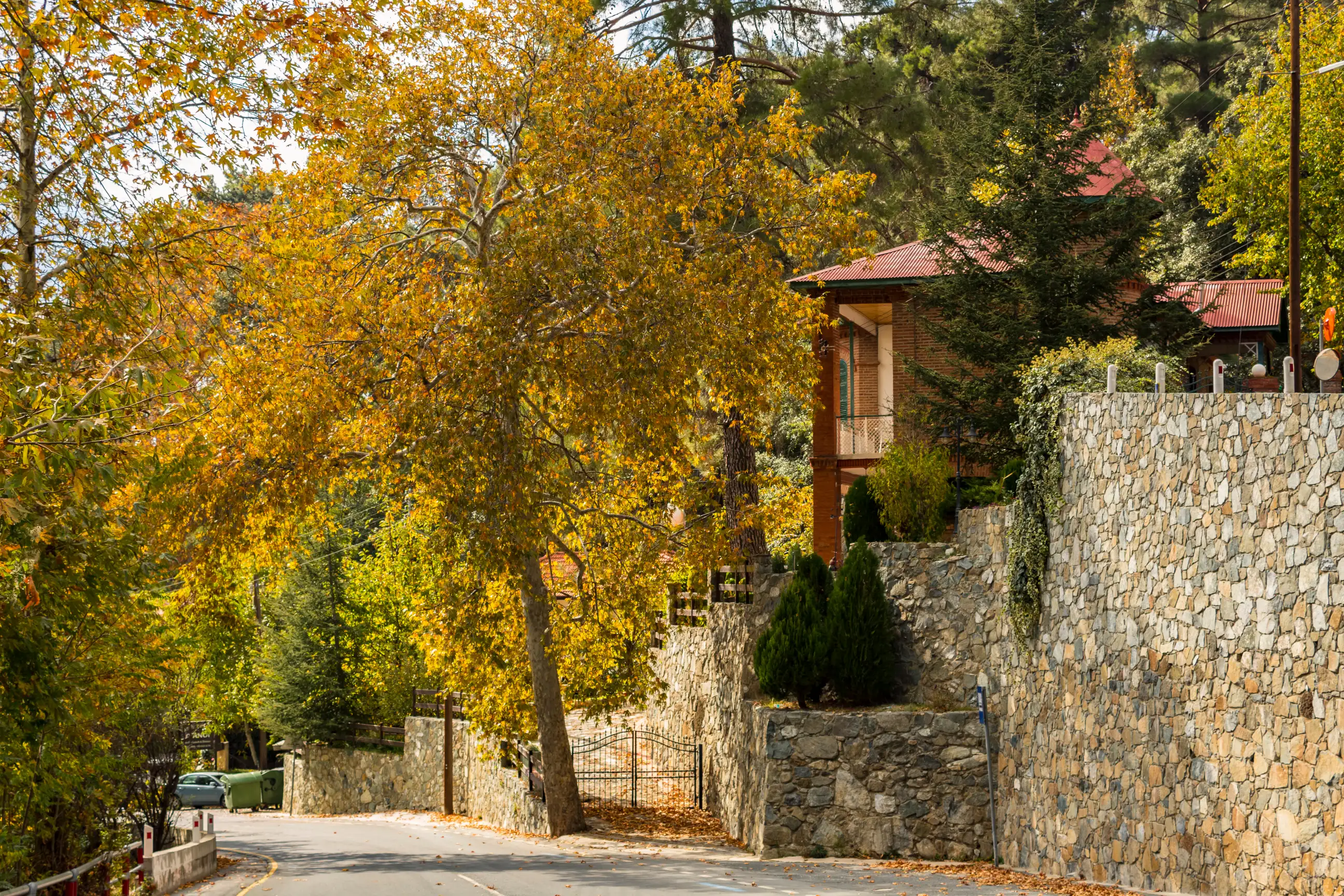 Pano Platres Village - The Palmiers
