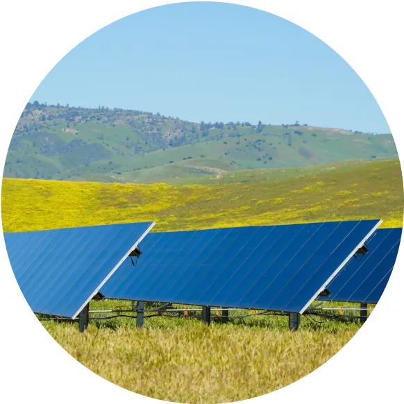 Hearst Sustainability