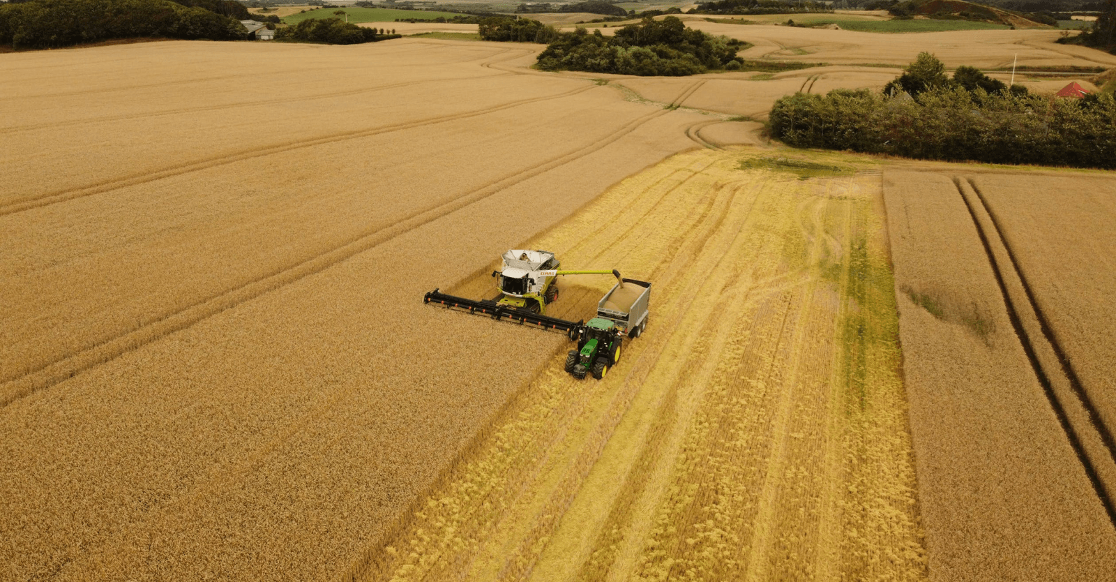 1. Our CEO, Eddie Perdok, about the year 2023