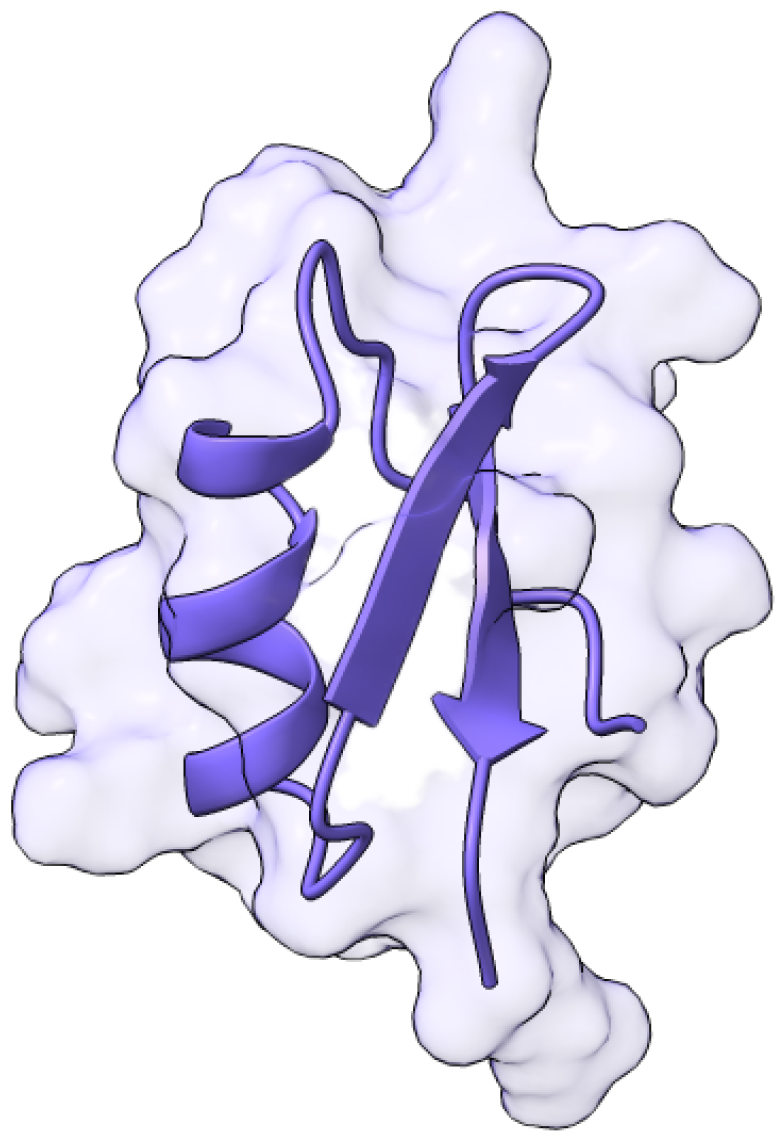 About Us - VRG Therapeutics