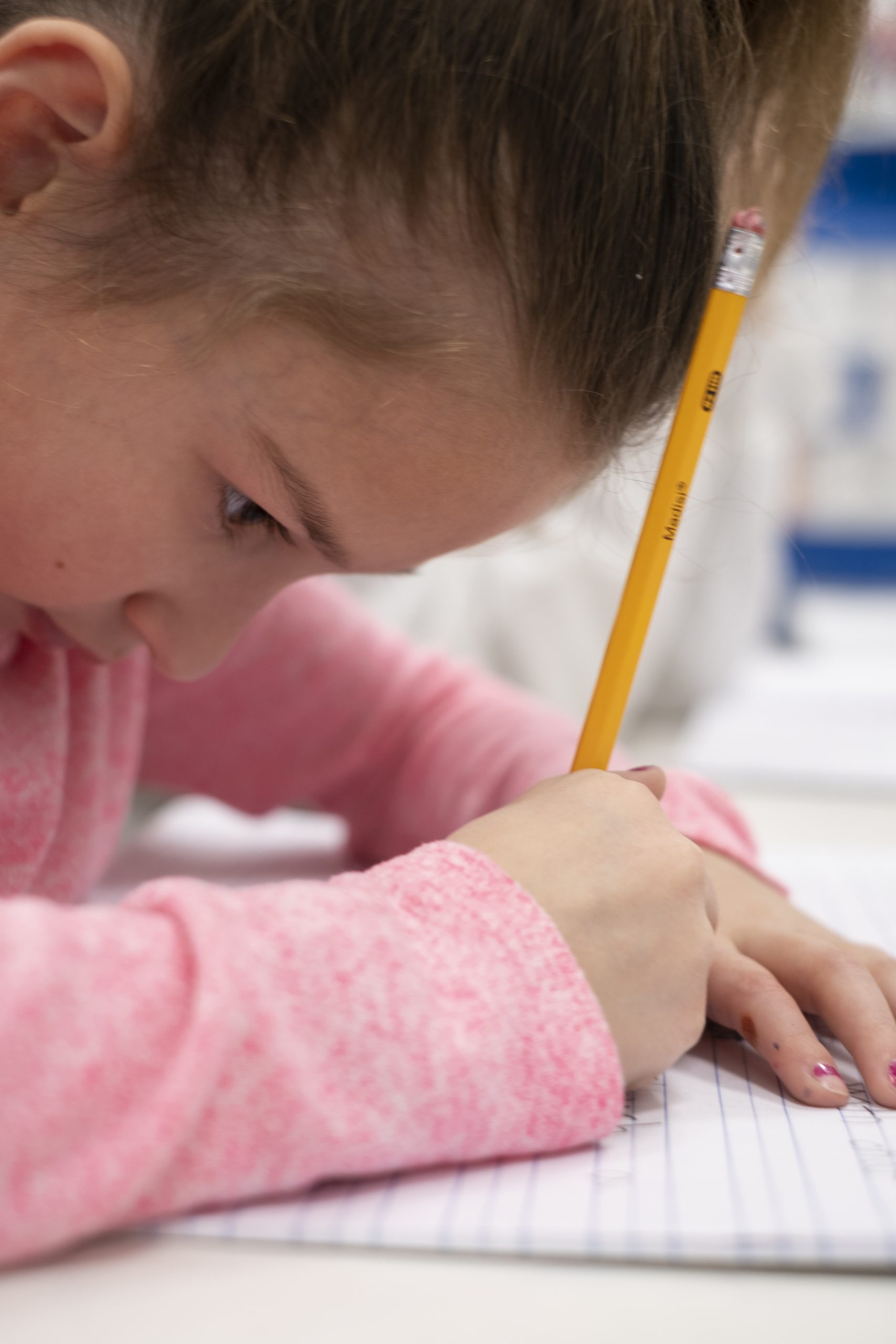 The Shefa School Program Overview