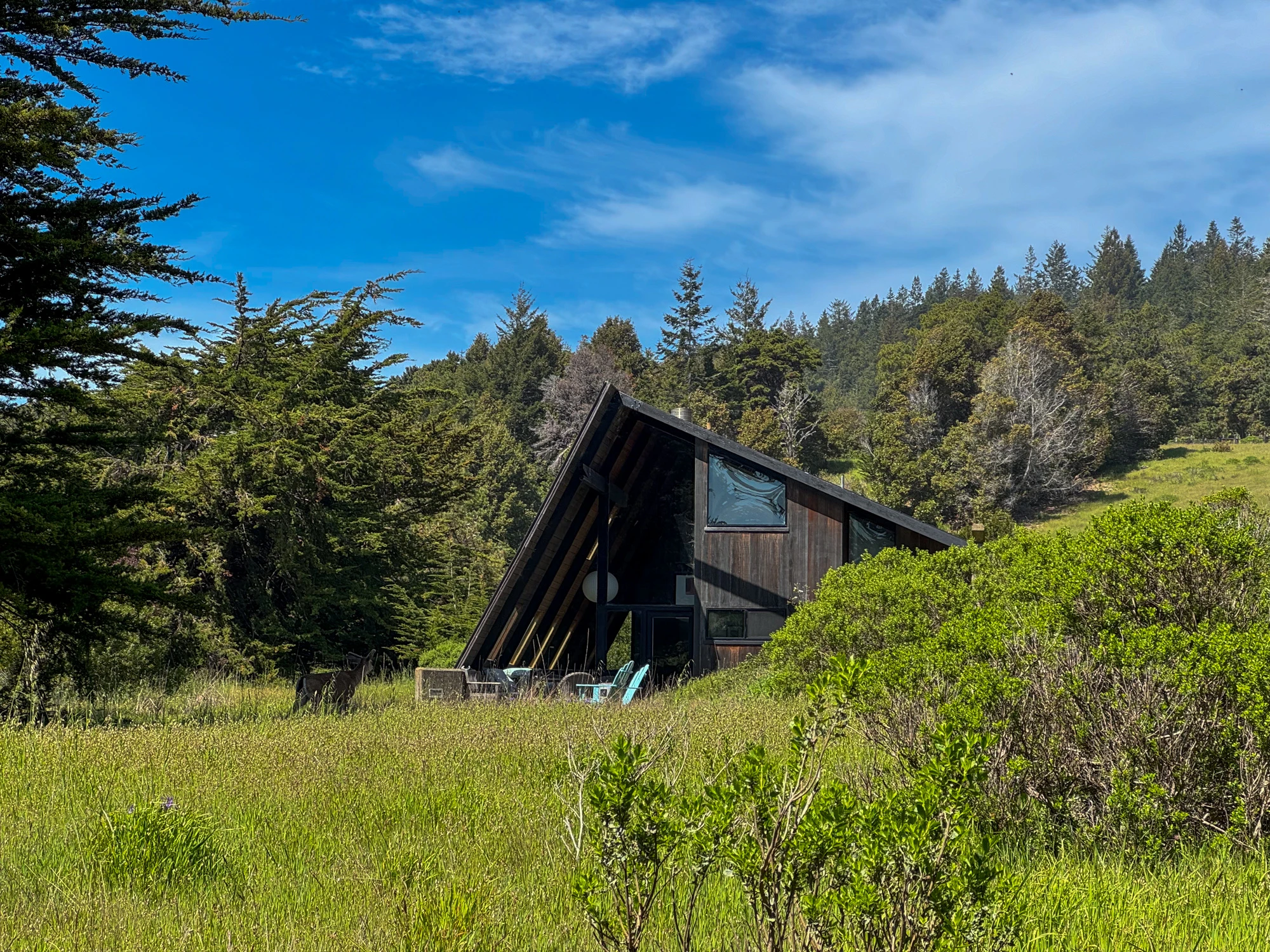 Sea Ranch is an amazing coastal oasis with hundreds of modern homes ...
