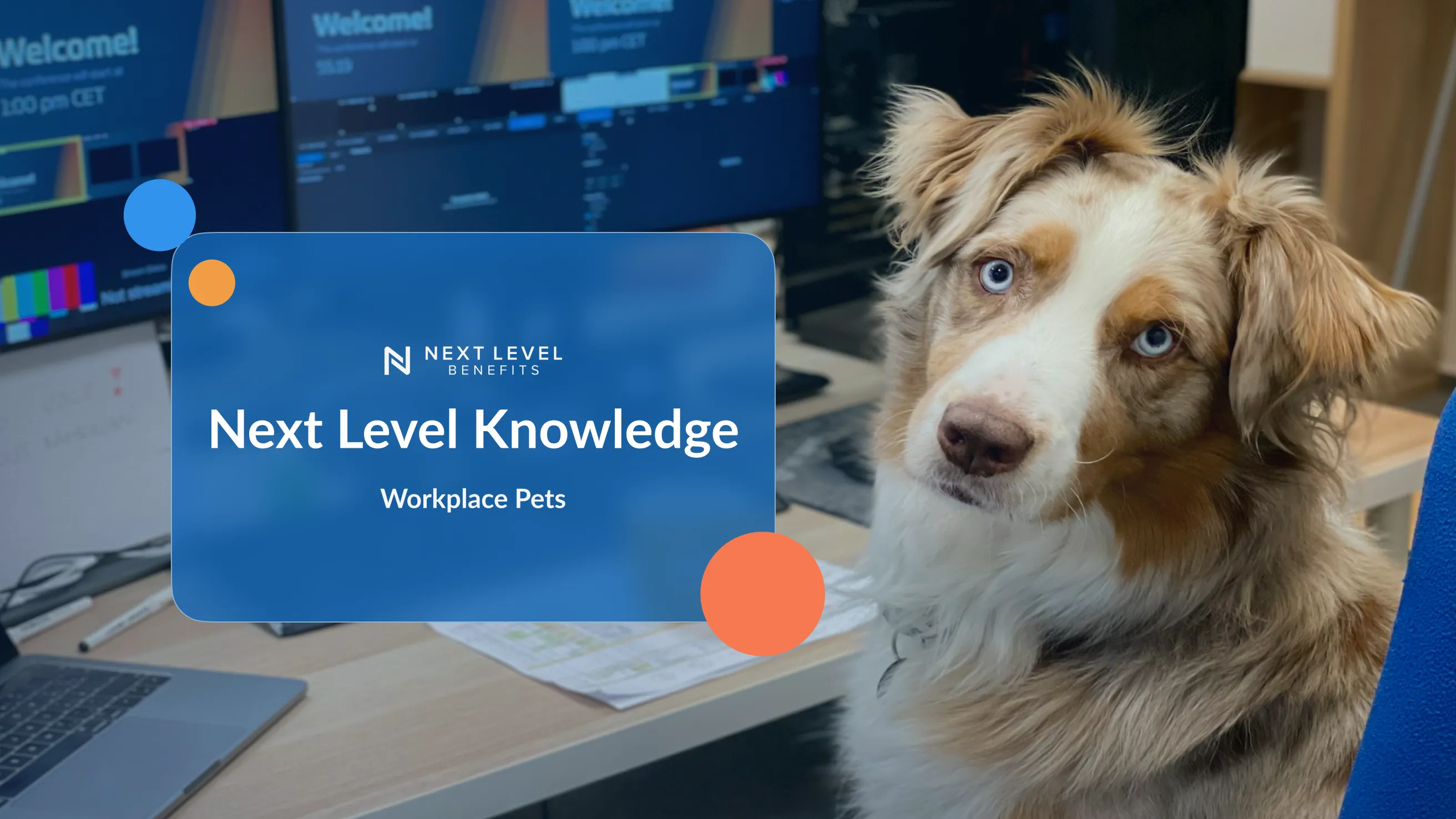 Next Level Knowledge: Pets in the Workplace