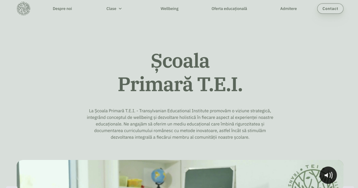 Scoala primara | Transylvanian Educational Institute
