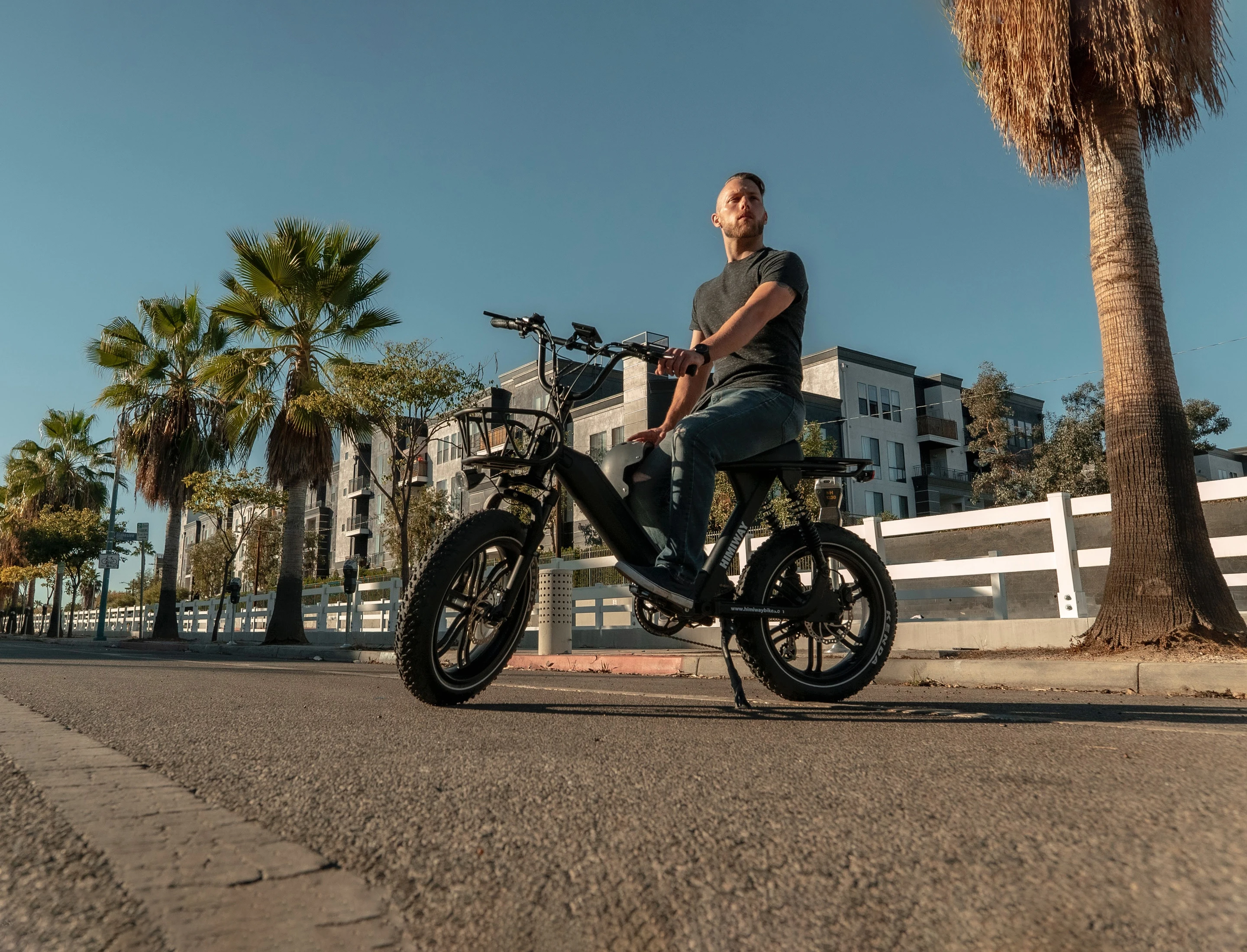 Introducing Lumi • Lumi Pawtners