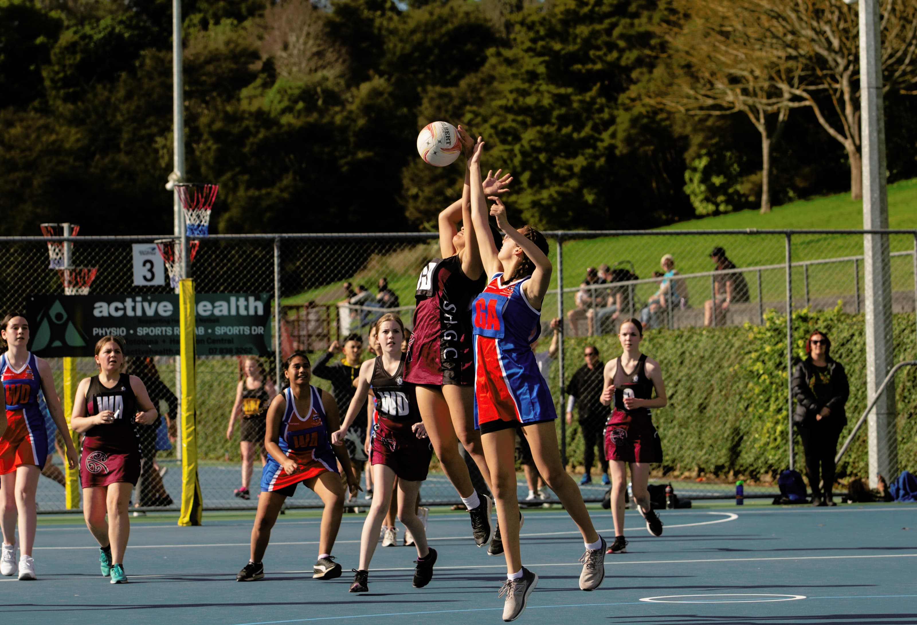 Netball club administration software and management tool