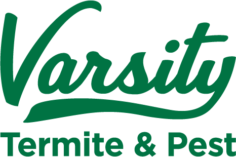 Pest Control in Smyrna, GA | Local Pest Exterminator
