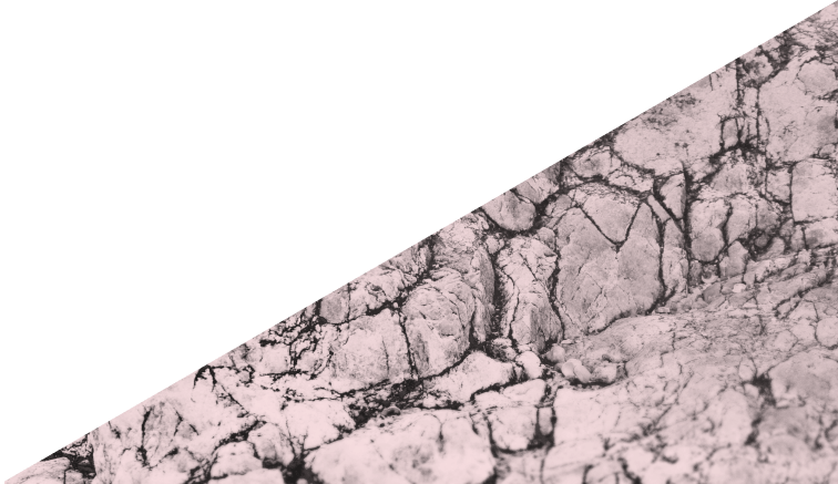 Isometric I High quality carbon credits, backed by science.