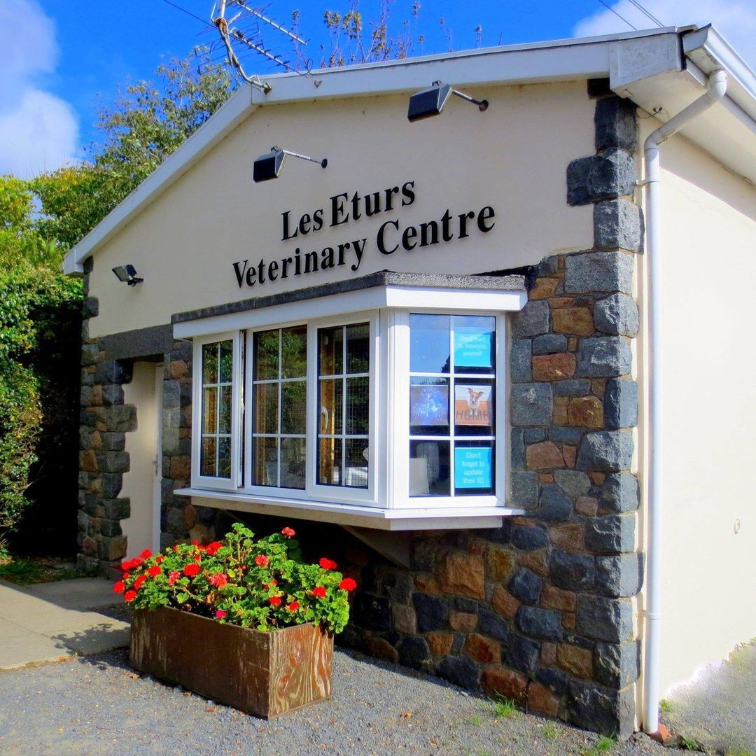 The Vetcare Centres - Mandeleo Animal Health Group