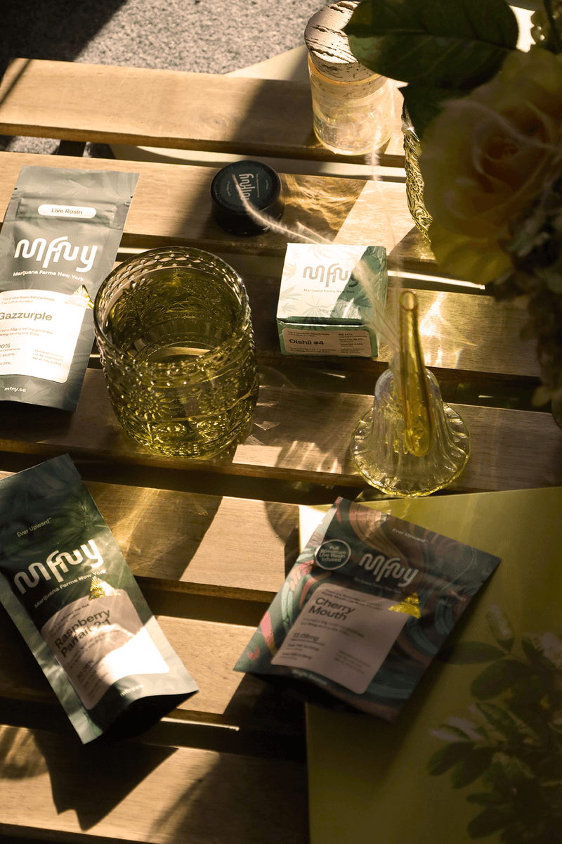 Knowledge Nugs | MFNY