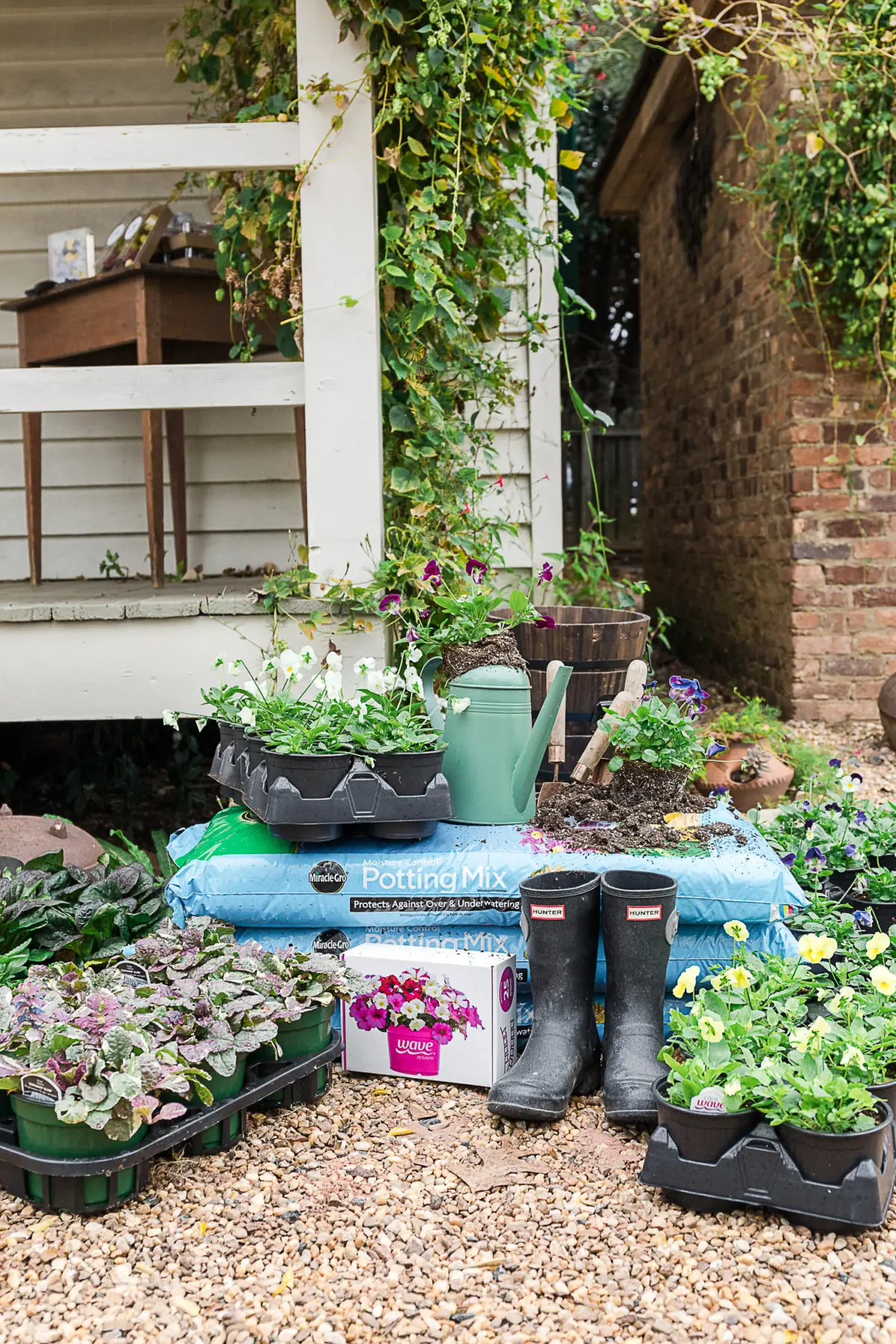 Fall Gardening with Cool Wave Pansies | Ruff Details Blog