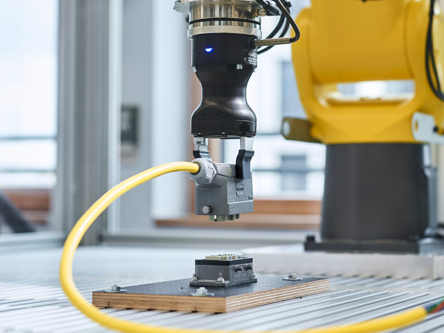 Capabilities | Intrinsic