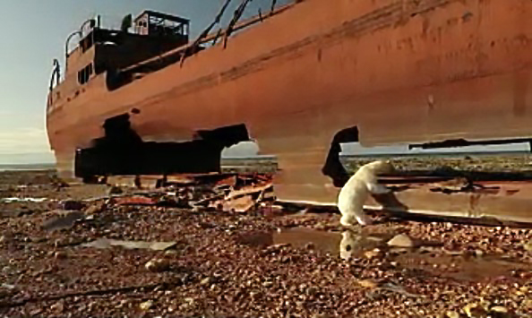 Ultimate Northern Lights Photo Adventure | Explore Churchill with Lazy ...