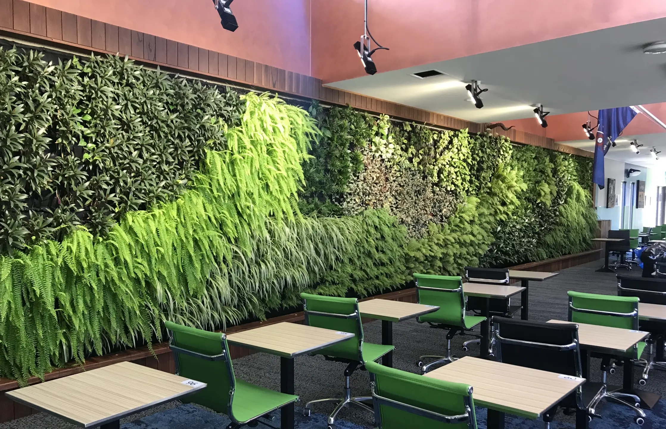 Study Hall Greenwall | Evergreen Infrastructure