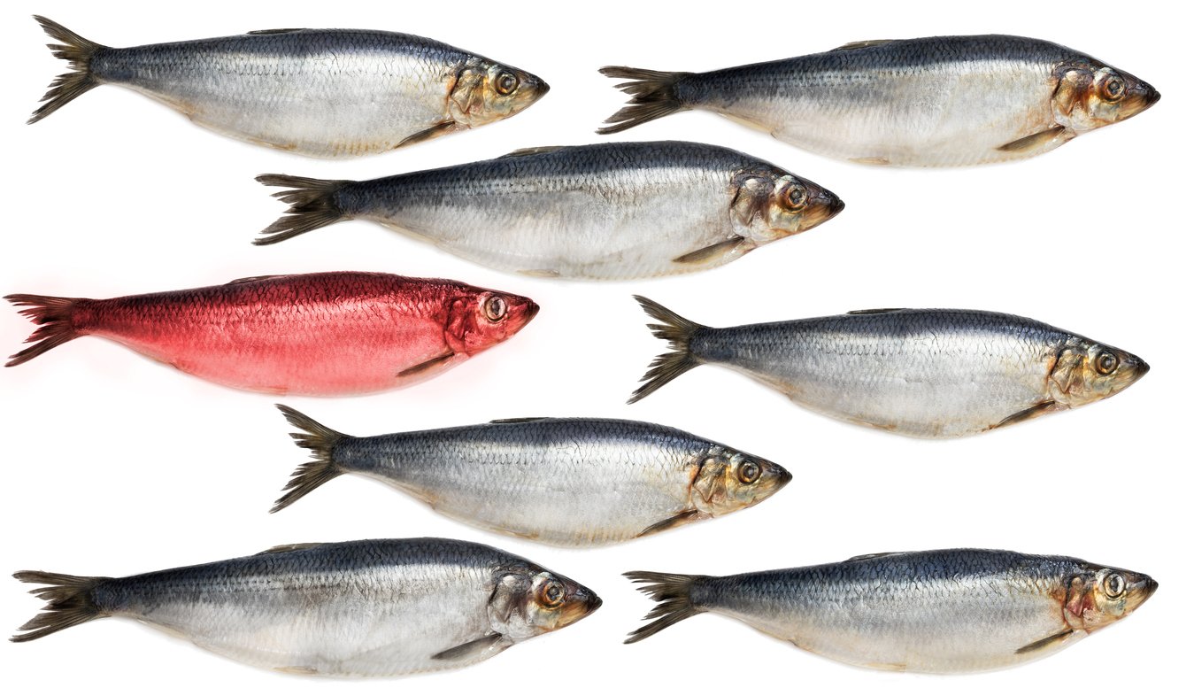 The Three Red Herrings of ASC 842 (What Not to Worry About) | Netgain Blog