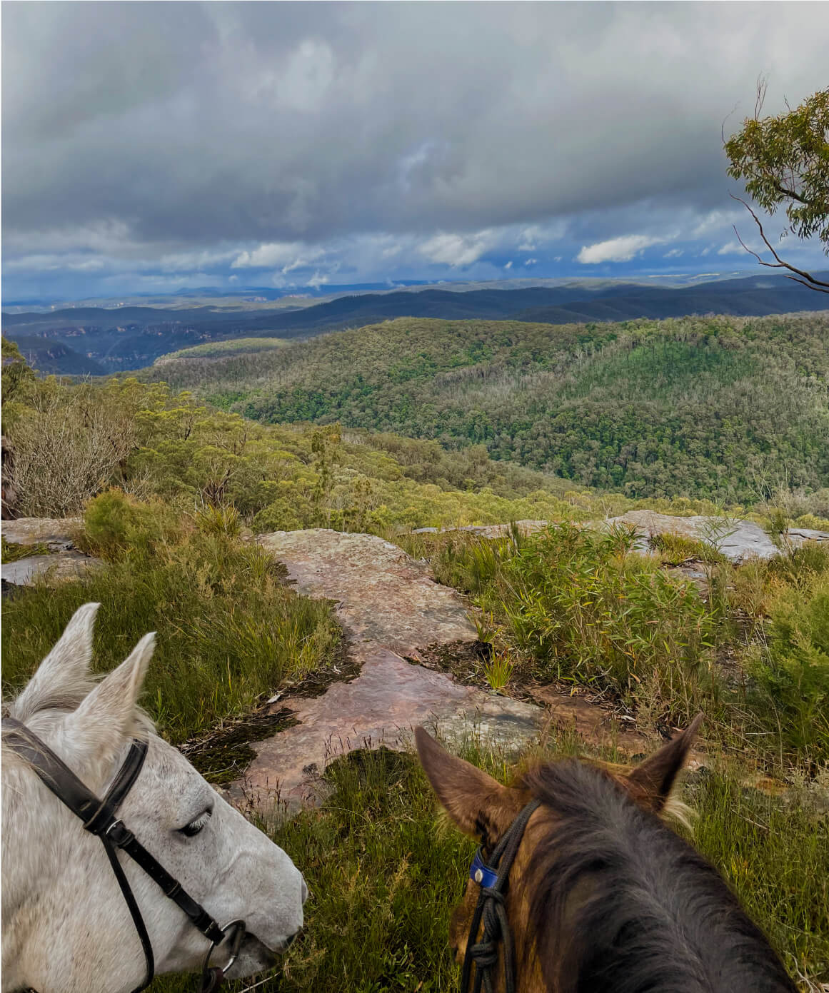Highlands Equine Trail Adventures – Home