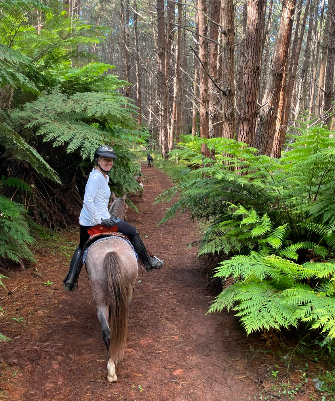 Highlands Equine Trail Adventures – Home