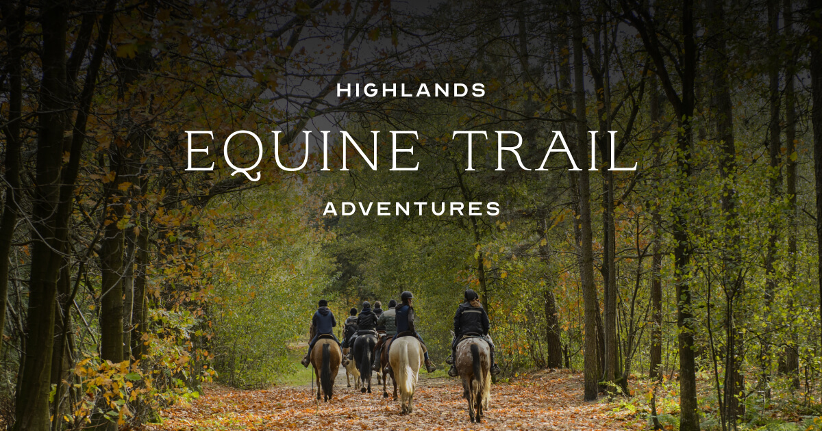 Highlands Equine Trail Adventures – Home