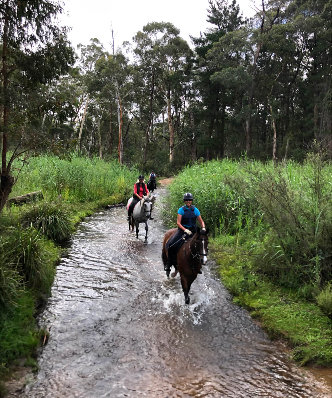 Highlands Equine Trail Adventures – Home