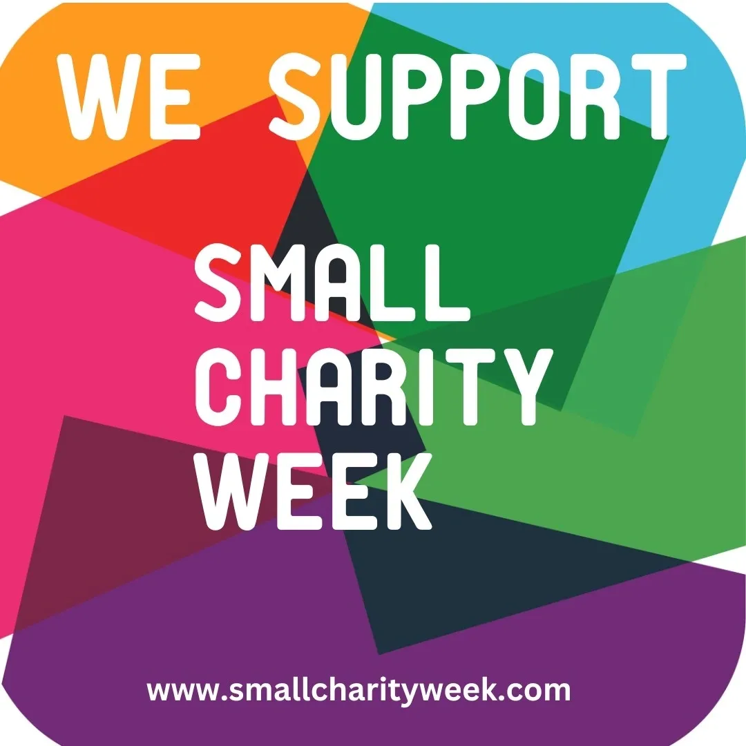 How local infrastructure supports small charities