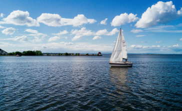 What is a Safe Harbor Match?