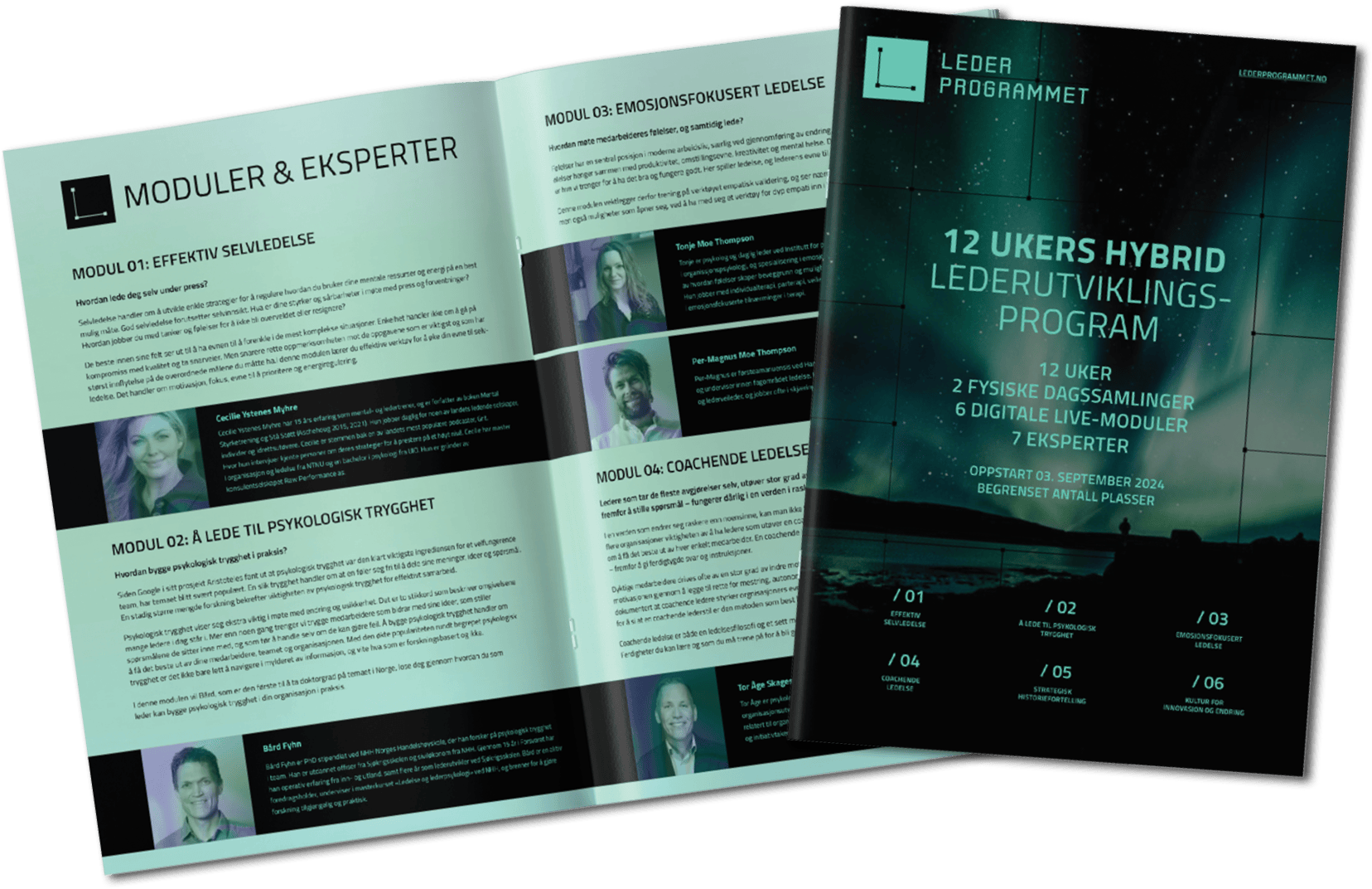 Last ned PDF-brosjyre - Lederprogrammet