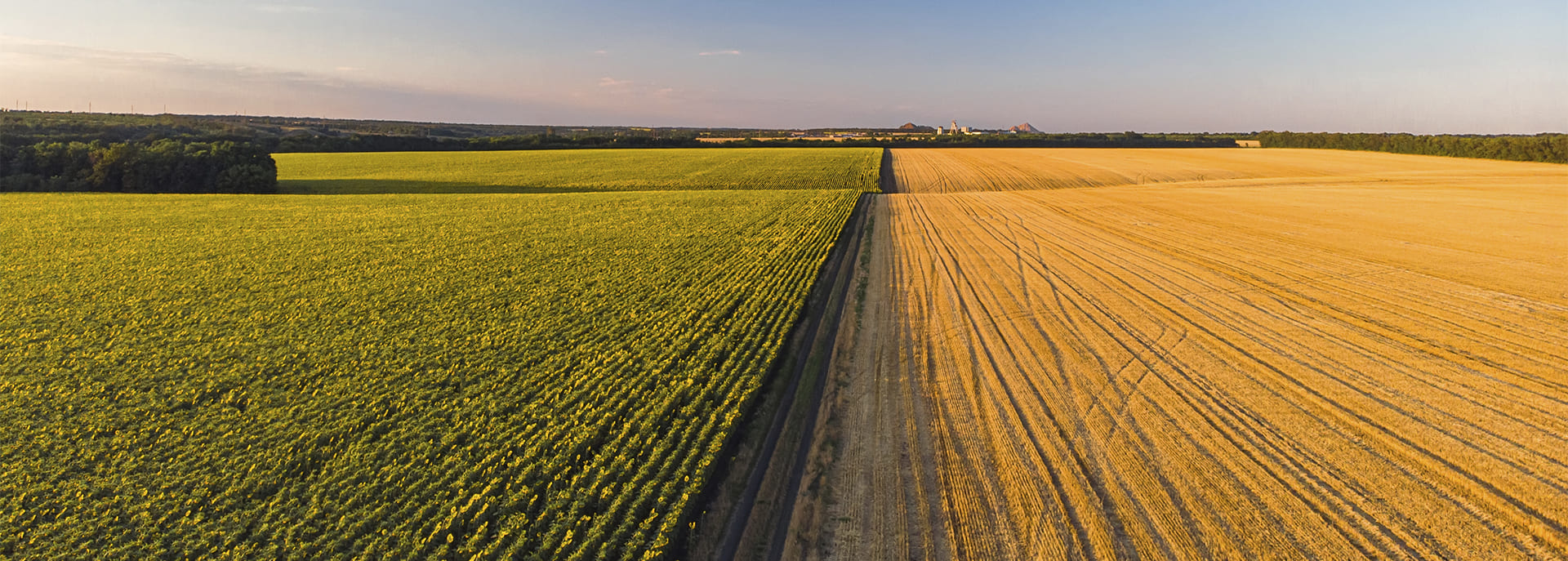 Areco Campos - Gente de campo en temas del campo