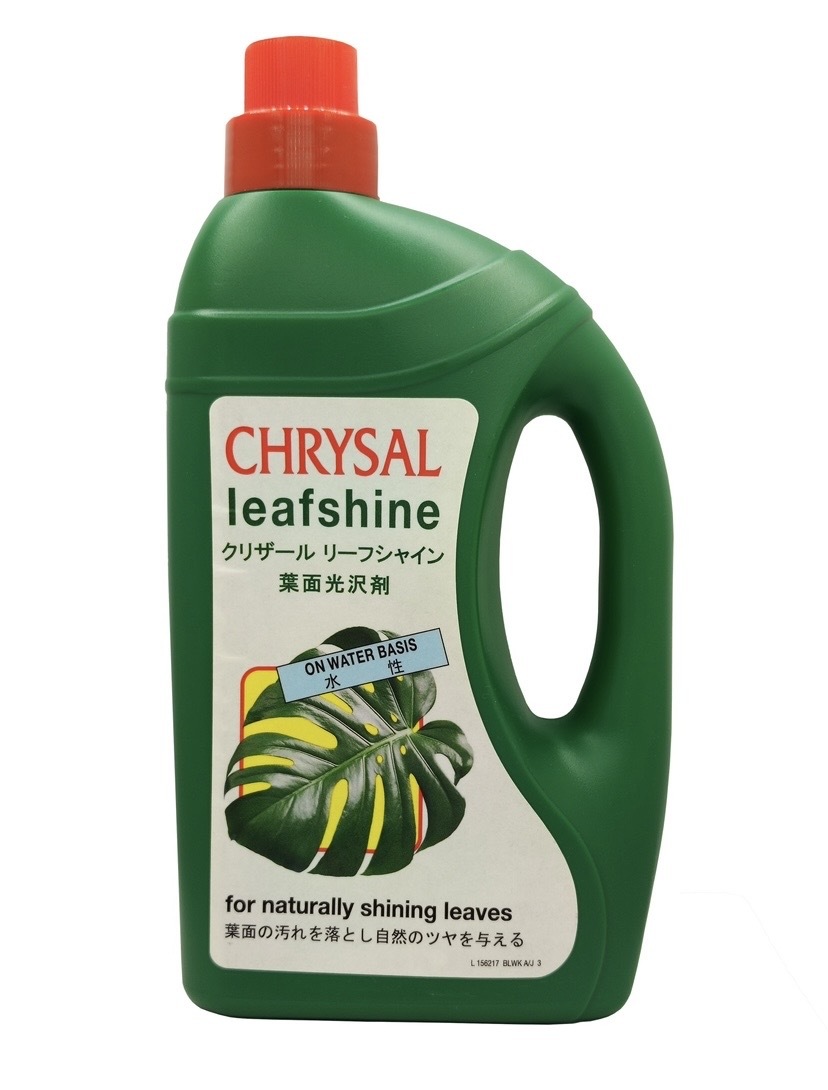Chrysal Shine - Floricel