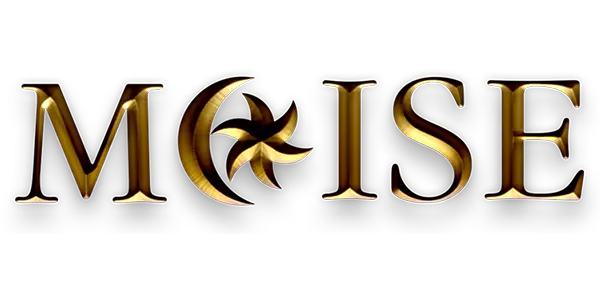 MOISE - What is MOISE?