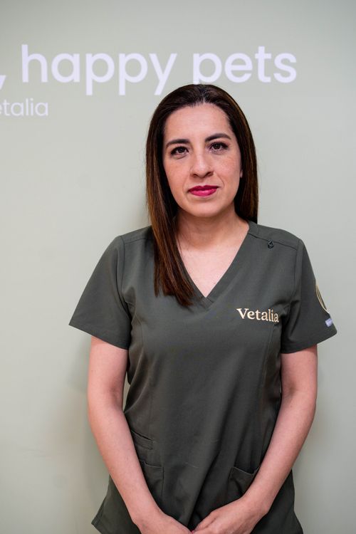 Vetalia - Sobre Nosotros