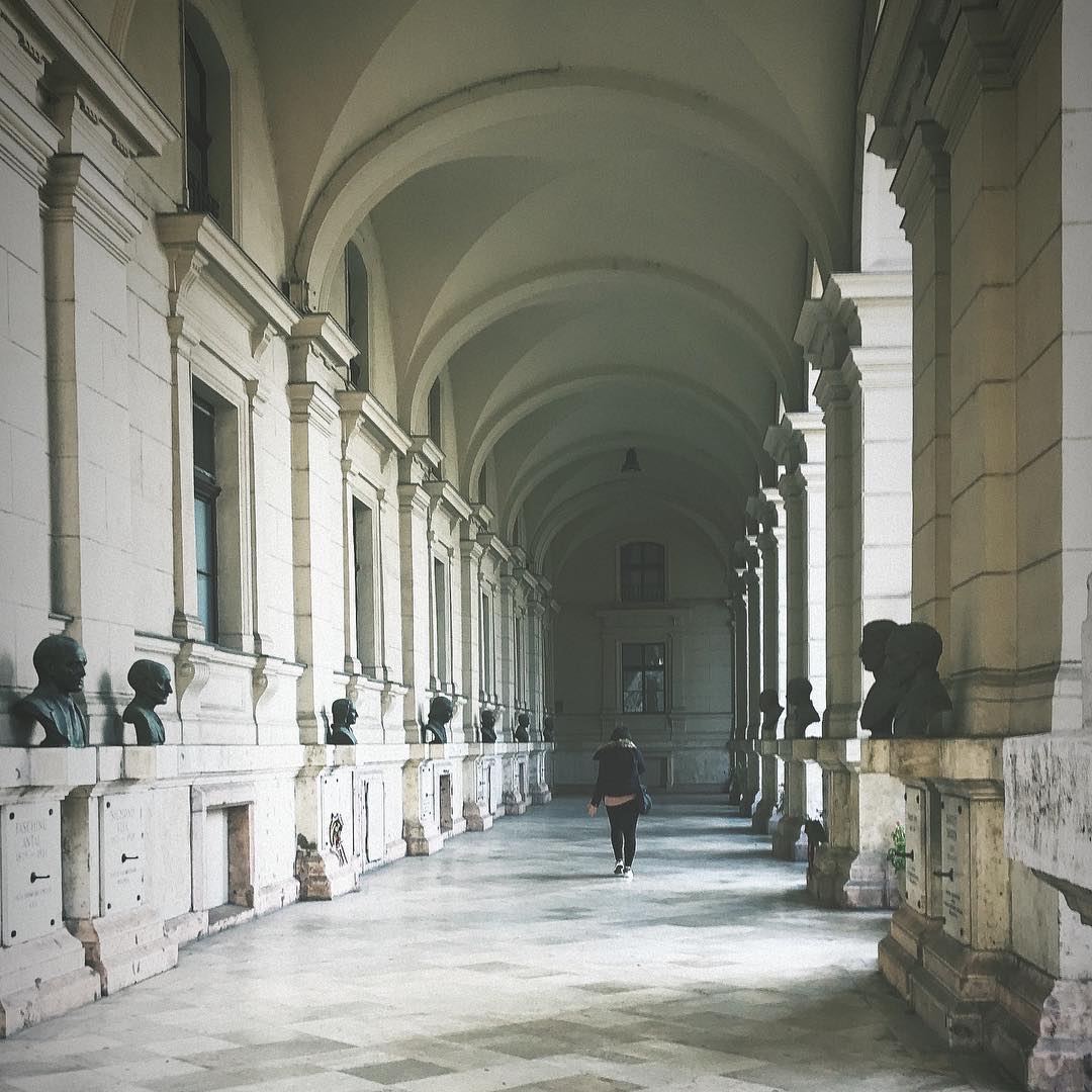 Learning Hungarian with Drops: Milestone 2