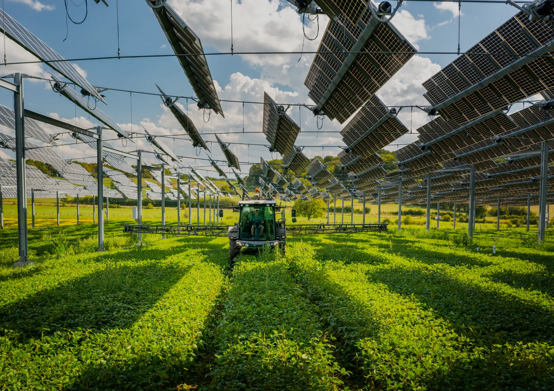 TSE, leader de l'Agri PV. L'agrivoltaisme dynamique au service de l ...