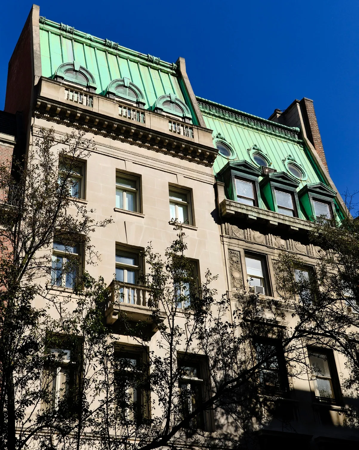 Neighborhood | The 74